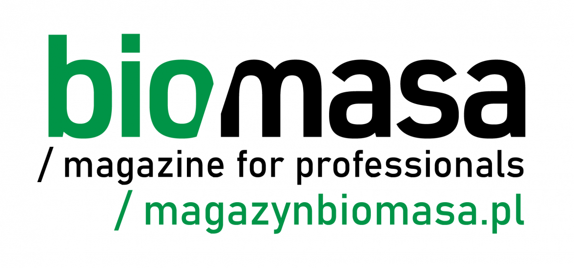 The Annual InternationalCarbon Capture and Storage Conference – CCS ...